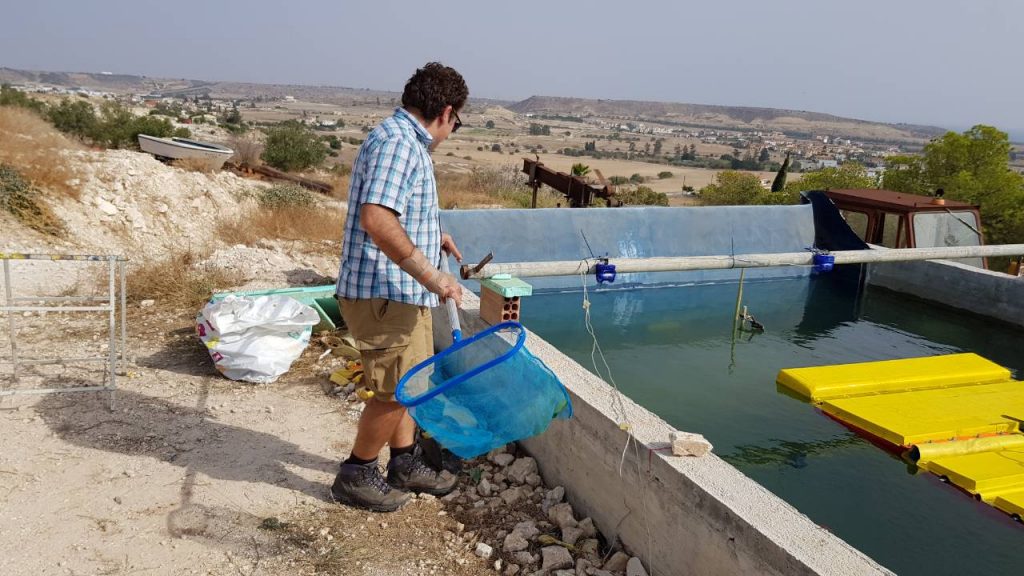 Gallery - UCY - CompSci